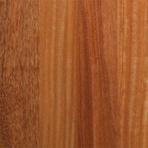 Cumaru, Brazilian Teak | Elemental Hardwoods
